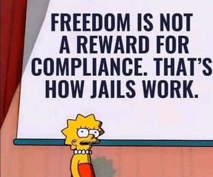 The Latest Memes :) Memedroid