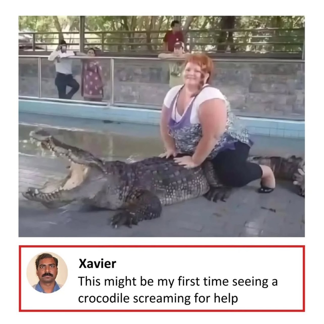 The best Crocodile memes :) Memedroid
