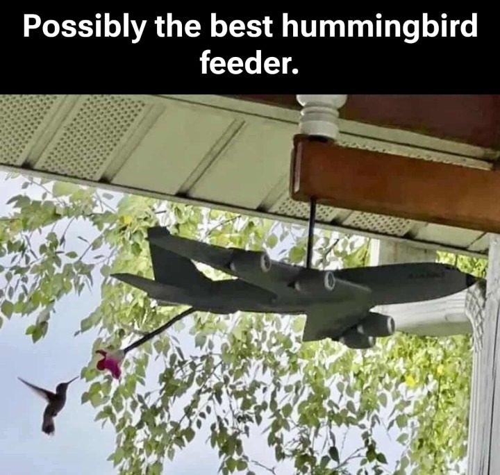 The Best September Memes 2025 - The Memedroid Blog