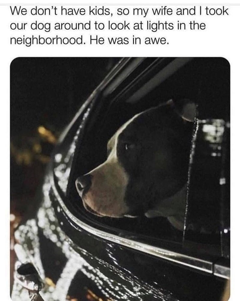 The best Lights memes :) Memedroid