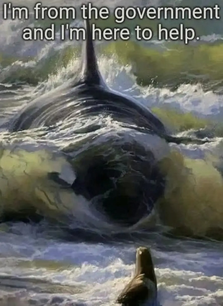 The best Government memes :) Memedroid