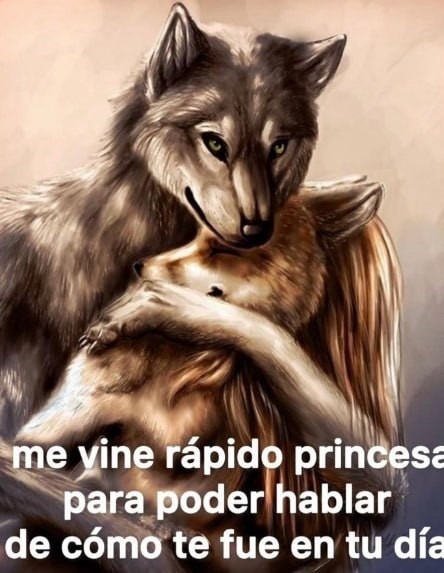 Lobo Solitario / Wolf Sitting Meme | Wolf Memes / Lobos Con Frases ... Lobo Solitario / Wolf Sitting Meme | Wolf Memes / Lobos Con Frases ...