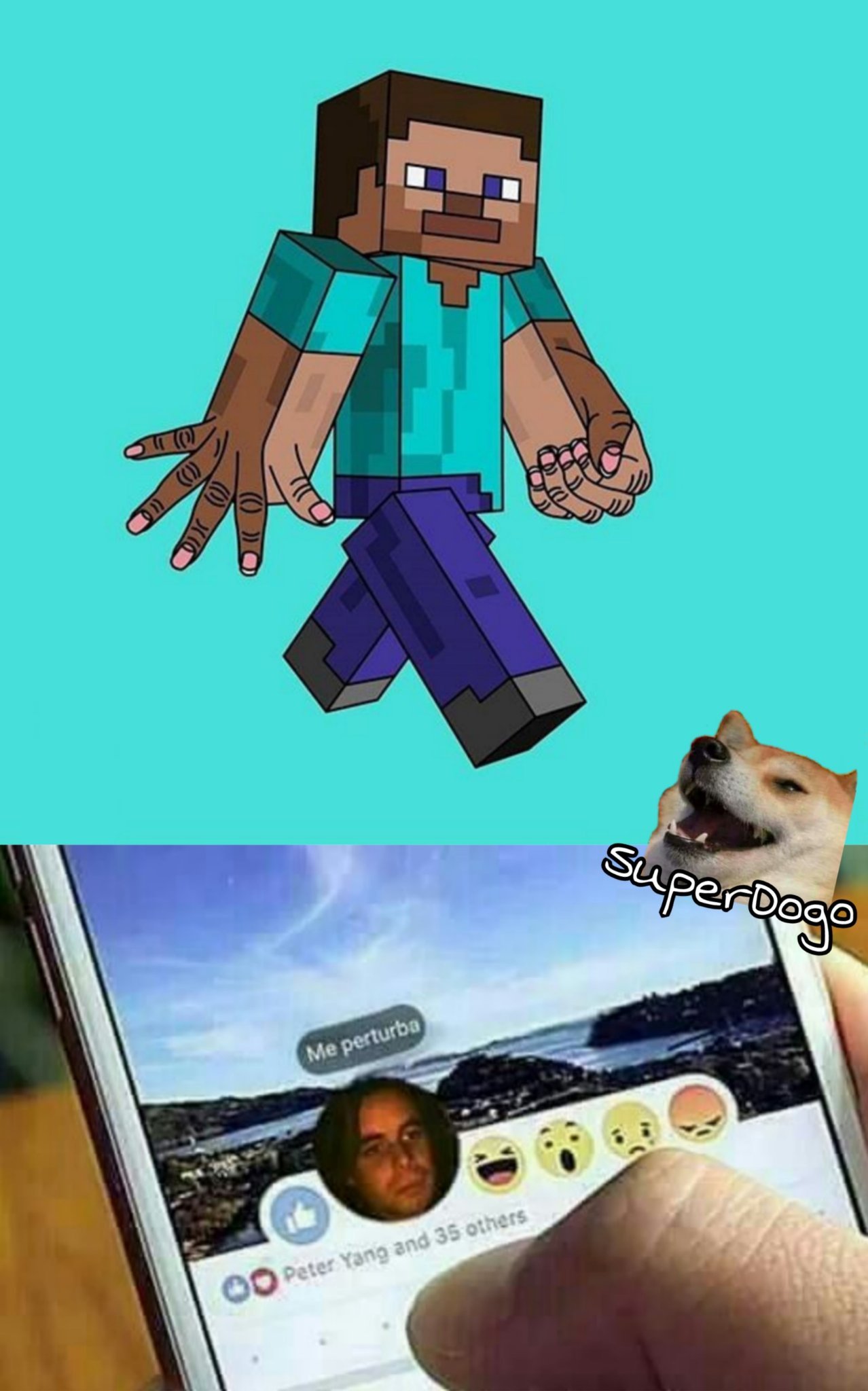 Steve - Meme subido por SuperDogo :) Memedroid