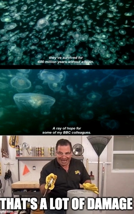 Ha - Meme by memelord007high :) Memedroid