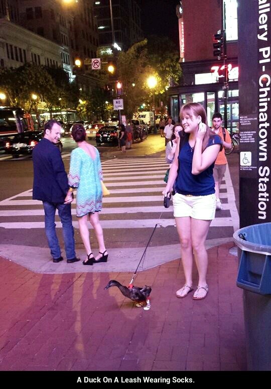 Chinatown - Meme subido por HaiLjesus :) Memedroid