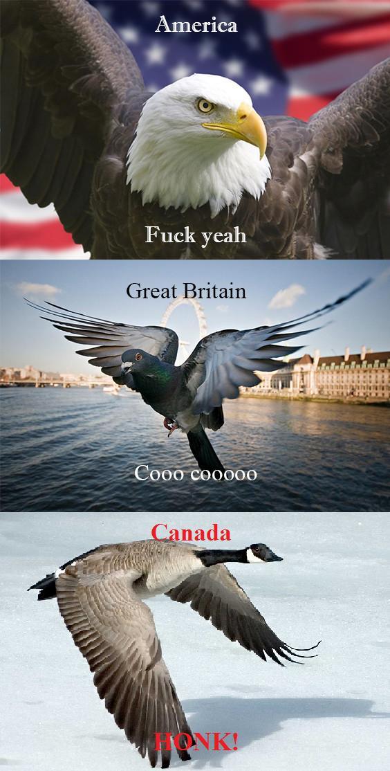 *maple syrup sounds - Meme by mike9200 :) Memedroid