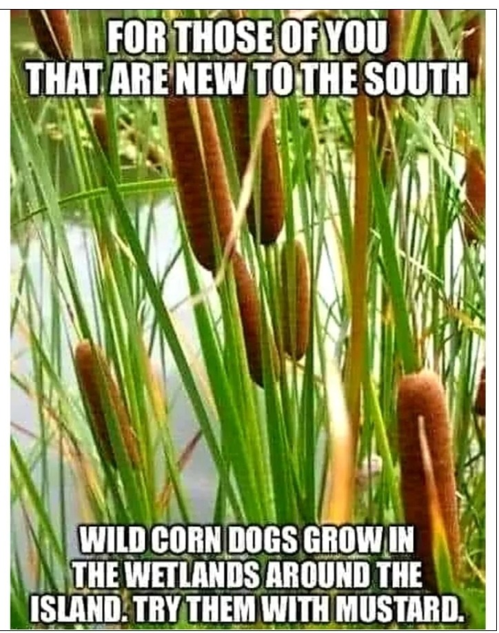 Memes About Nature 30 Nature Memes For Nature Lovers Soaking In The