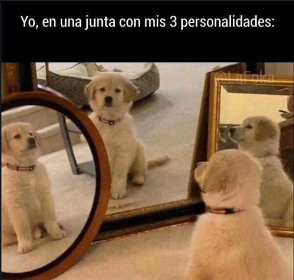 Top memes de Personalidad en español :) Memedroid