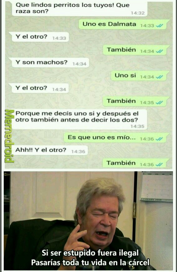 Memes aleatorios :) Memedroid