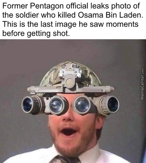 Seals - Meme by Robby112 :) Memedroid