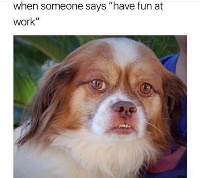The face you make when someone says: "Have fun at work!" - Meme by ...