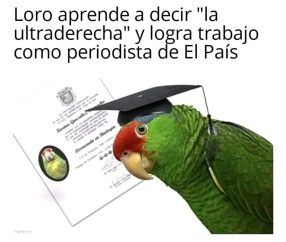 Los mejores memes del PSOE