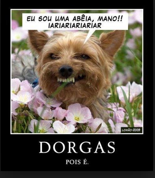 Riairiarioariaor pão - Meme by (Ukaro) :) Memedroid