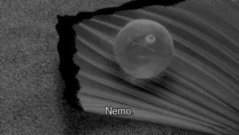 Nemo :'( - Meme subido por JhaydiDanae1203 :) Memedroid