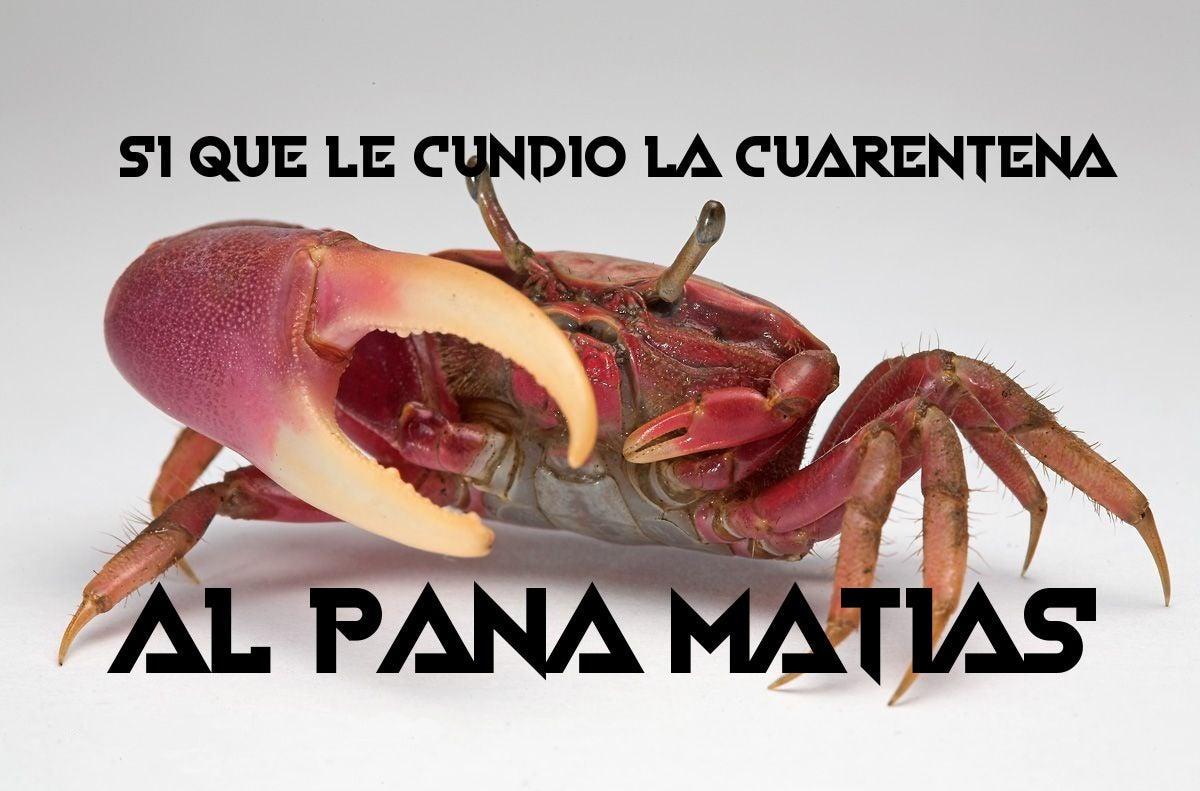 Entendí esa referencia - Meme subido por TasTontoOke :) Memedroid