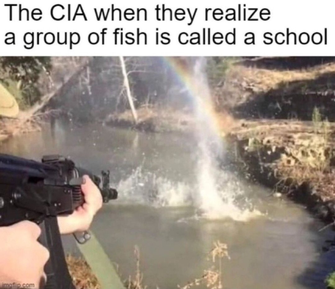 Latest memes / New memes :) Memedroid