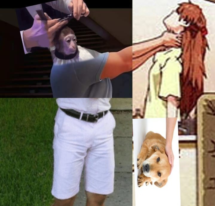 Top memes de Edit en español :) Memedroid