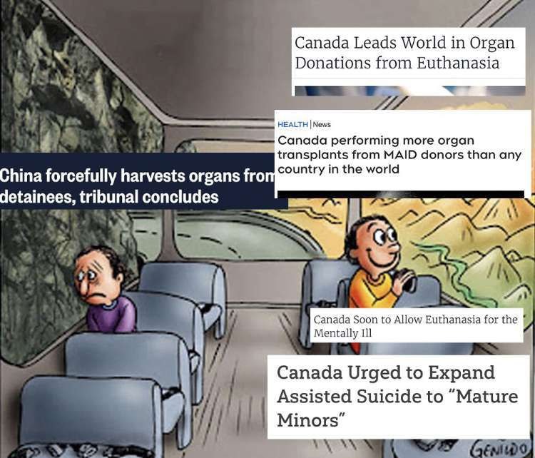 Welcome to canada honk honk - Meme by oiram005 :) Memedroid