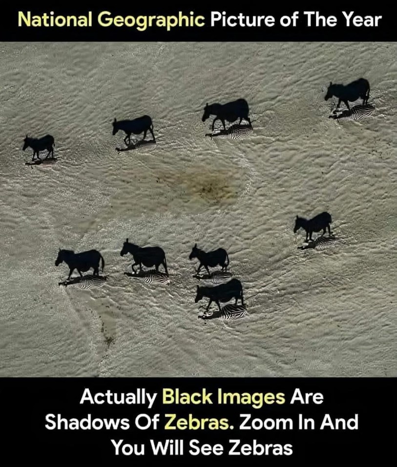 Latest memes / New memes :) Memedroid