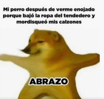 Los Últimos Memes :) Memedroid