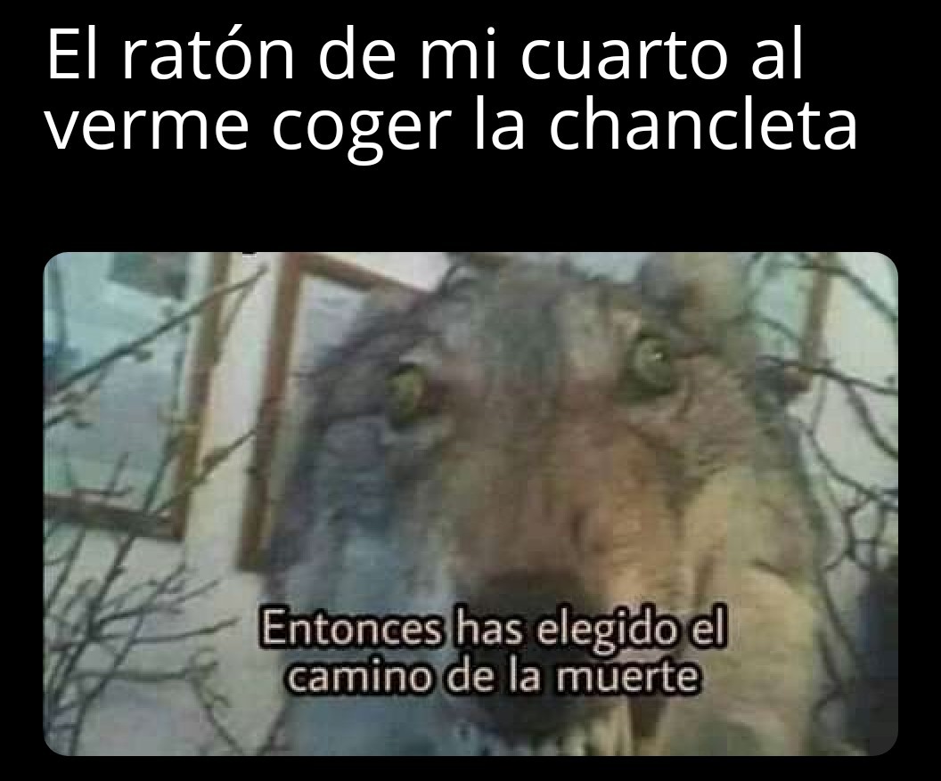 El ratón - Meme subido por Marioroy :) Memedroid