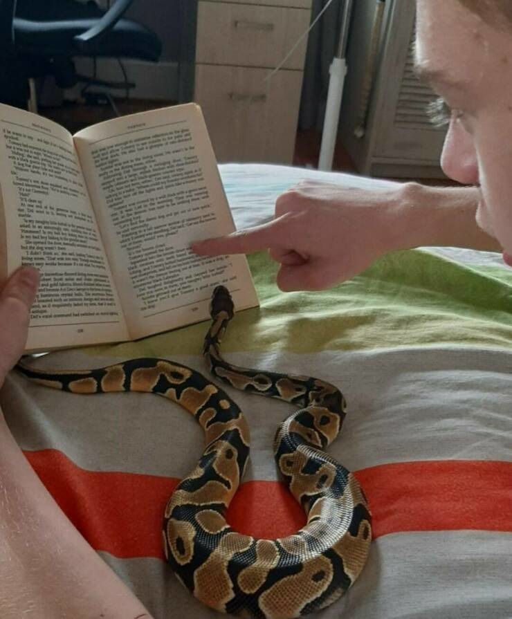 See! It says snakes are NOT slimy, but scaly. - Meme by Grumpasaurus ...