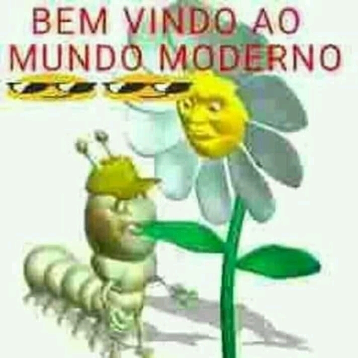 The best memedroid memes :) Memedroid