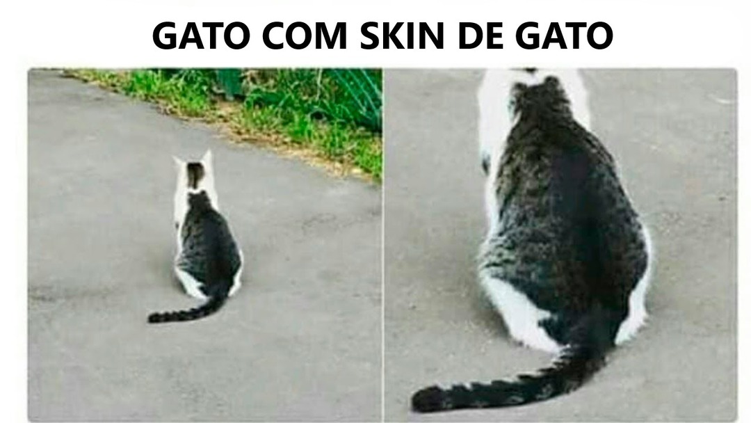 psi psi - Meme by PaiDoSeuNenem :) Memedroid