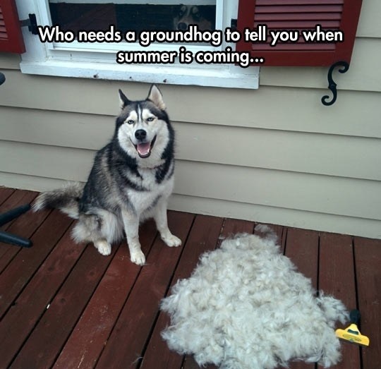 Summer is Coming - Meme by HaiLjesus :) Memedroid