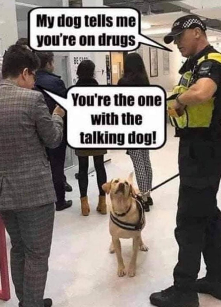 Insert - Meme by spongebob666 :) Memedroid