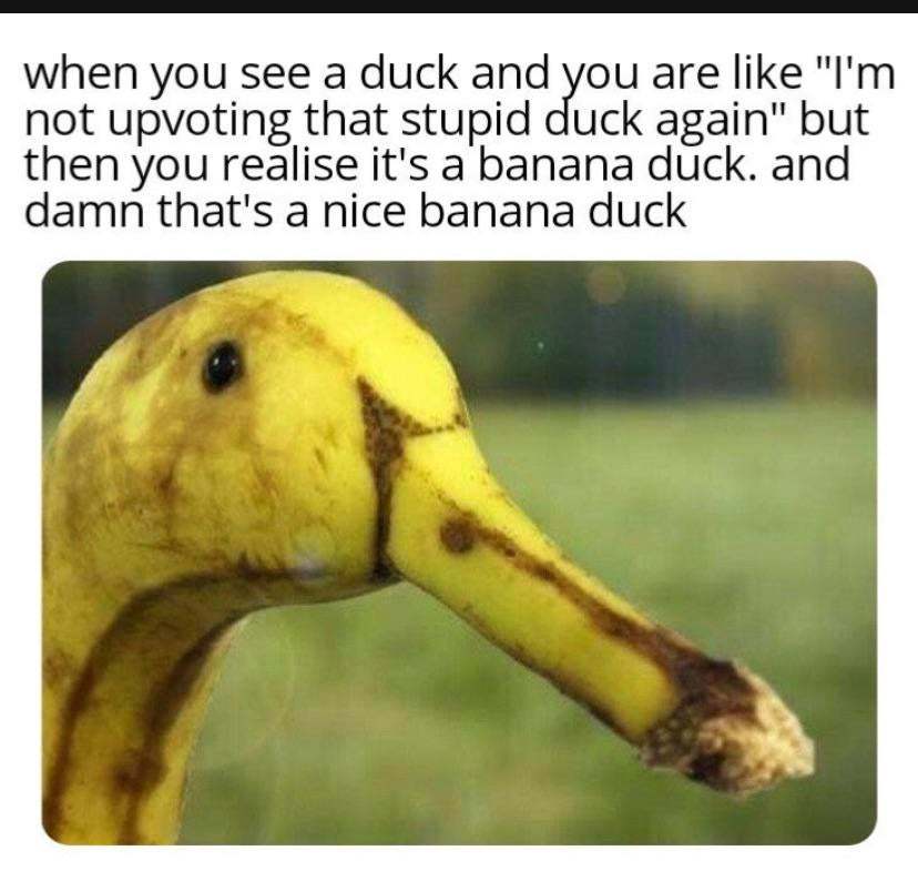 Ba - Meme by Andrei779 :) Memedroid