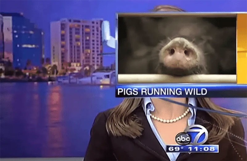 Another advertisement for "The View". - Meme by Grumpasaurus :) Memedroid