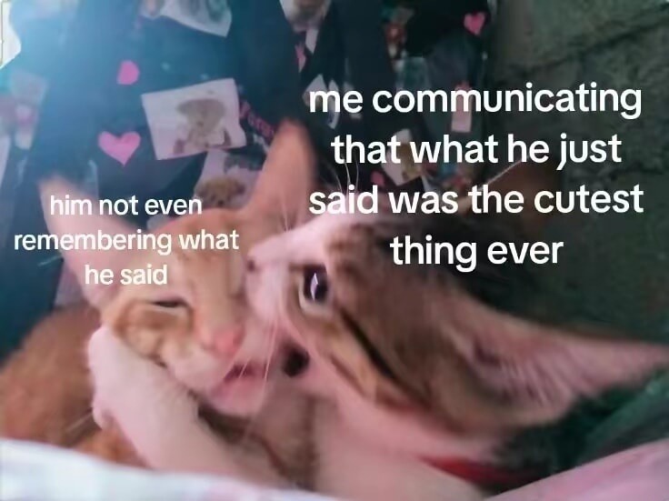 Cute and funny memes :) Memedroid