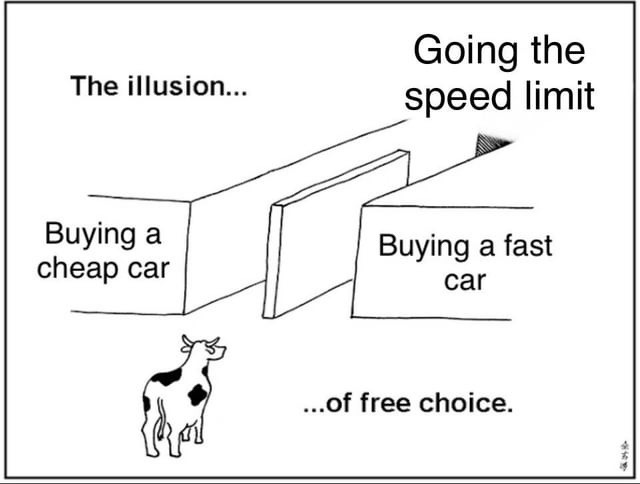 The best Speed memes :) Memedroid