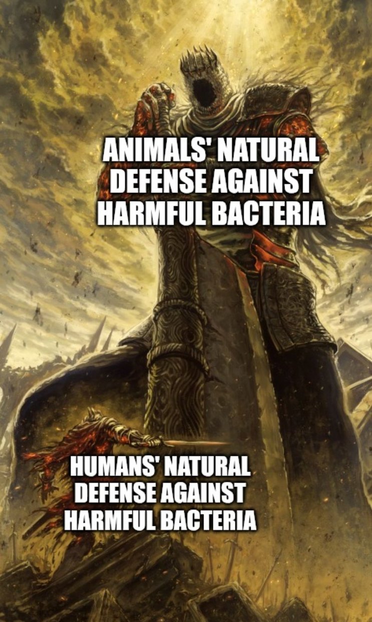 The best Bacteria memes :) Memedroid