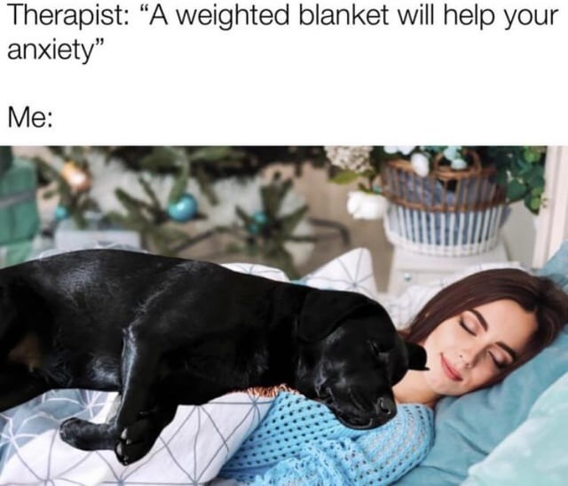 Latest memes / New memes :) Memedroid