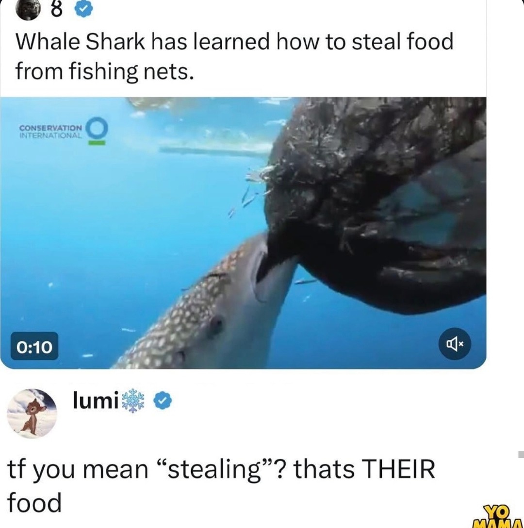 The best Fish memes :) Memedroid