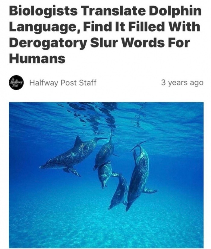 Can you blame them? - Meme by Cliffy_99 :) Memedroid