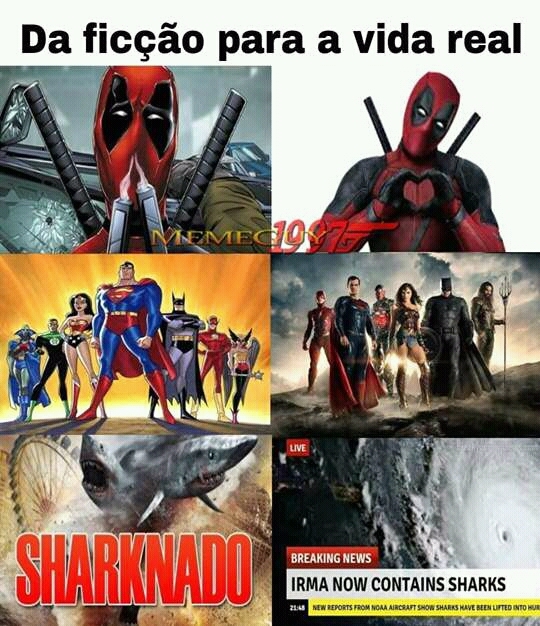 Shit - Meme subido por Hippo43 :) Memedroid