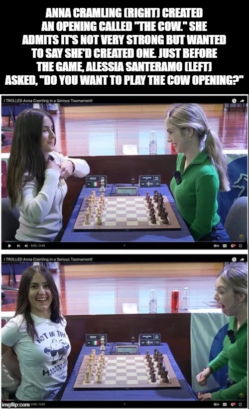 The best Chess memes :) Memedroid