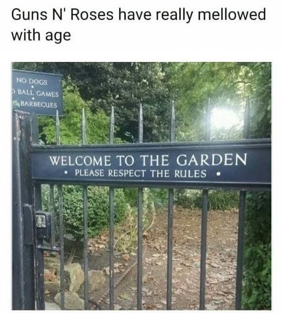 The best Word memes :) Memedroid