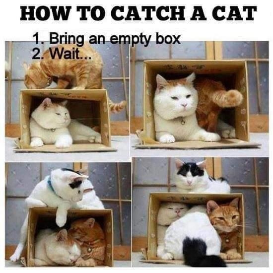The best Box memes :) Memedroid