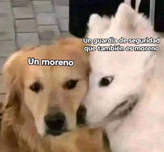 Top memes de Perros en español :) Memedroid