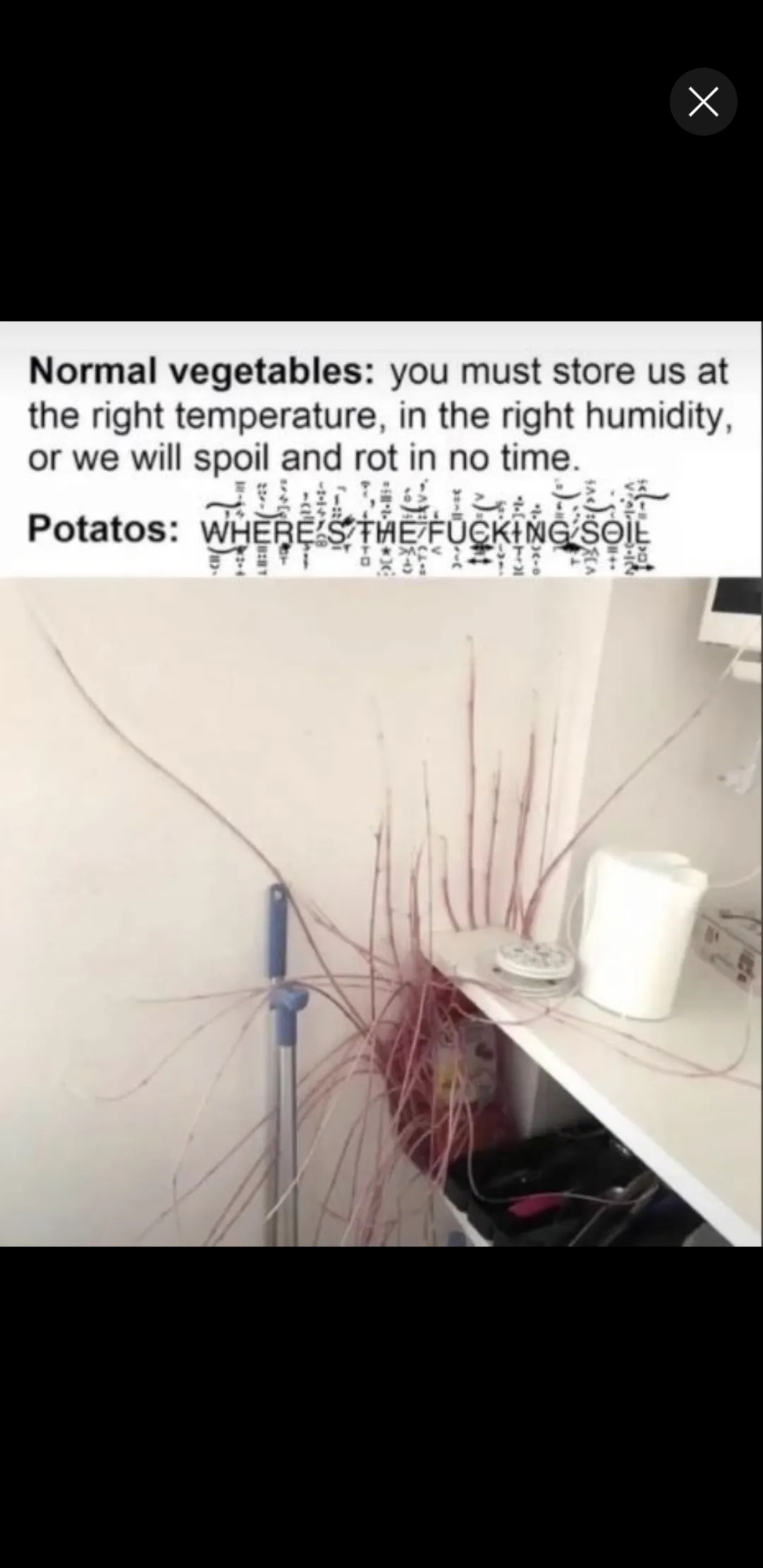 The best Potato memes :) Memedroid