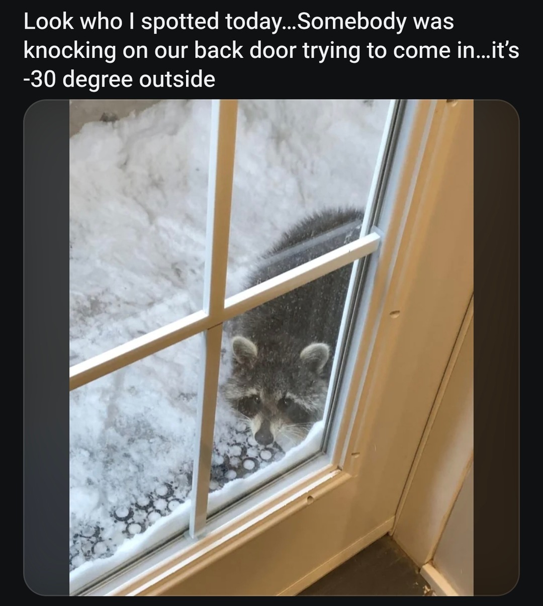 The Best Funny Winter memes:) Memedroid