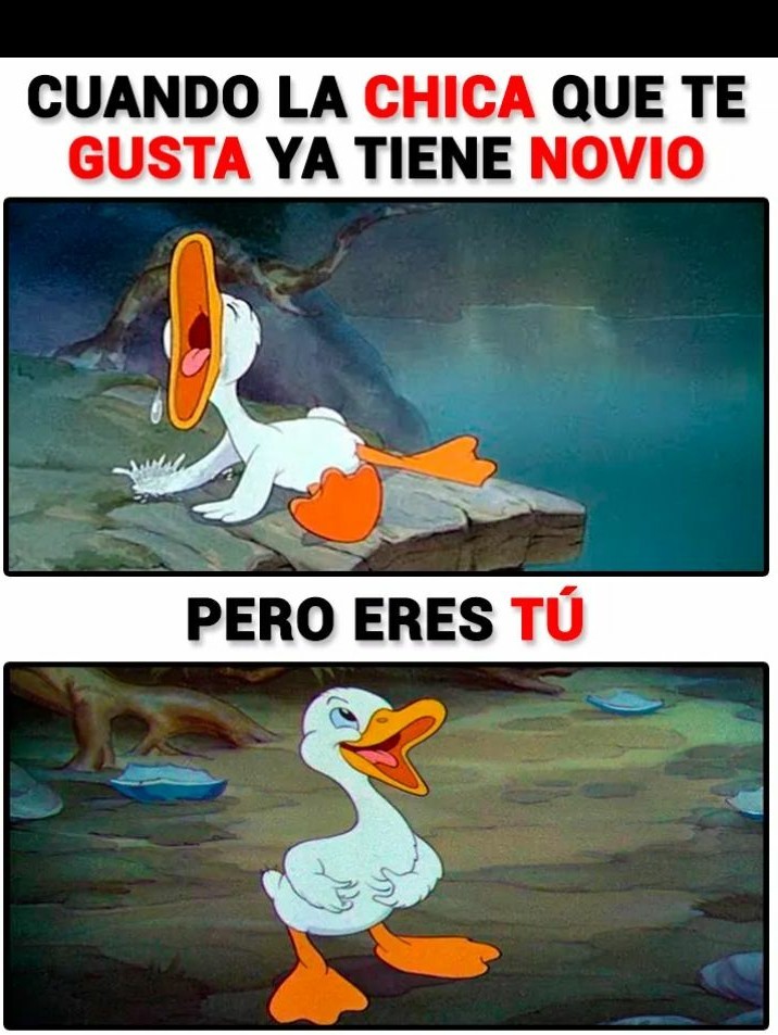 Si lo aceptan crece el ganso 20 cm - Meme subido por Shaa :) Memedroid