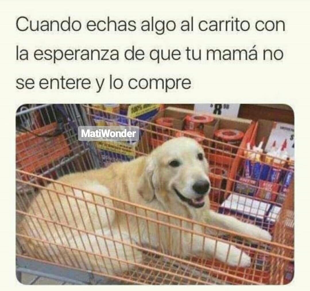 A poco ni se nota (•~•) - Meme subido por Matiwonder :) Memedroid