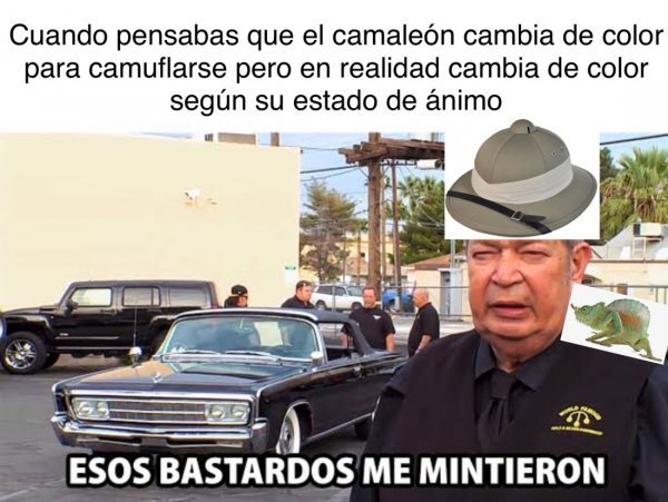 Camaleones - Meme by ElMazzyXd :) Memedroid