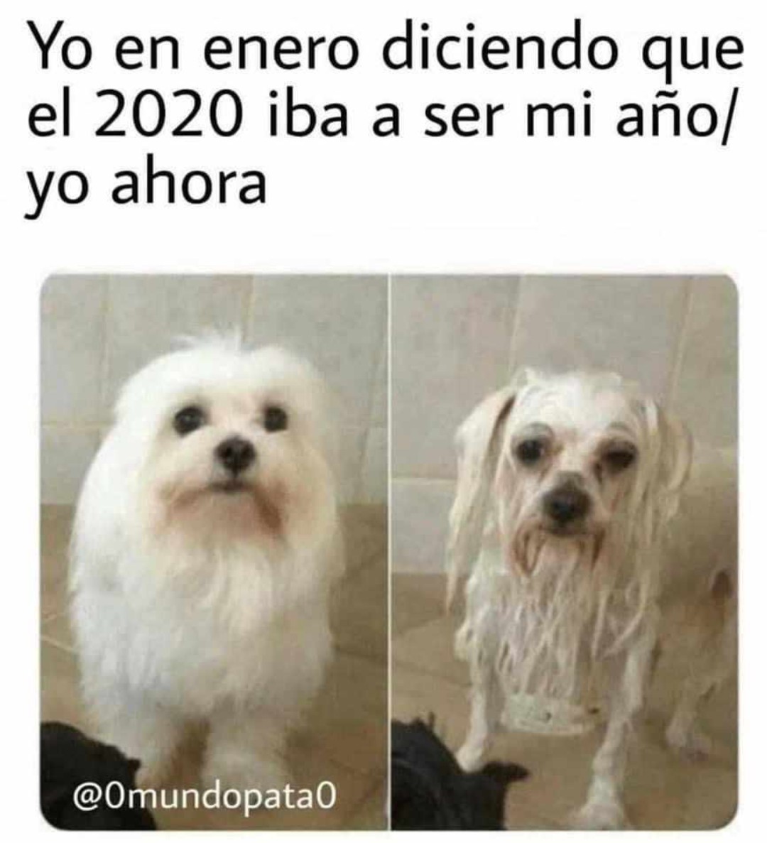 Mi año - Meme subido por wolschaldo :) Memedroid