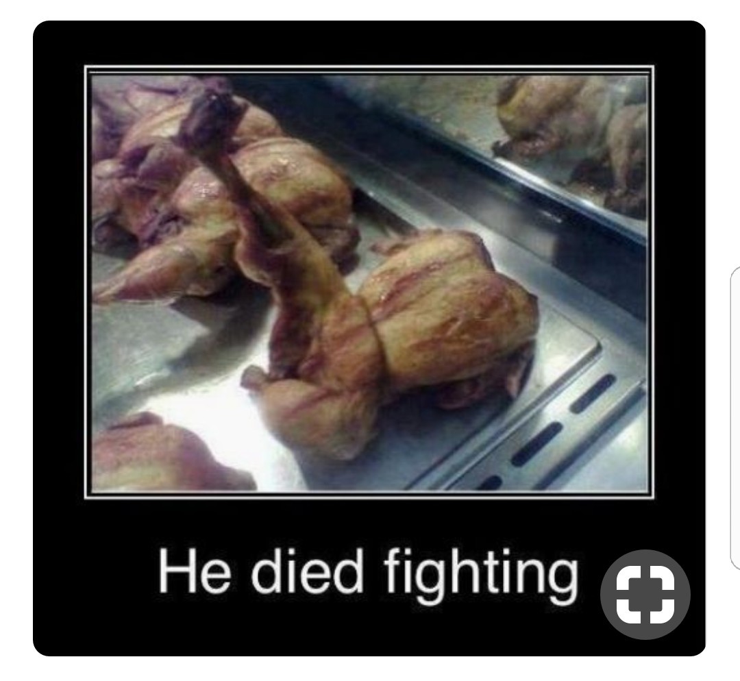 Memes Fighter MEME Fighter On X: "📢 MEME Fighter Update – New
